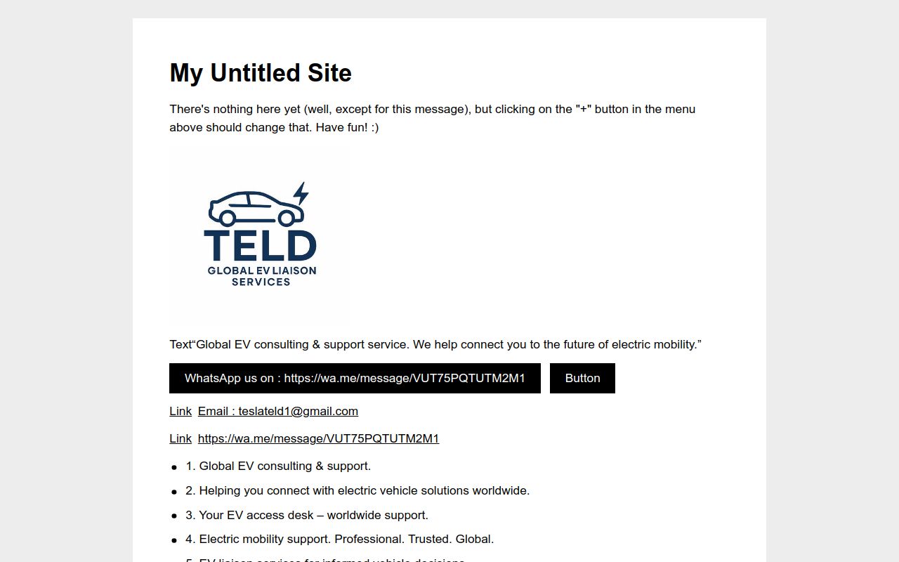 TELD – Global EV Liaison Services